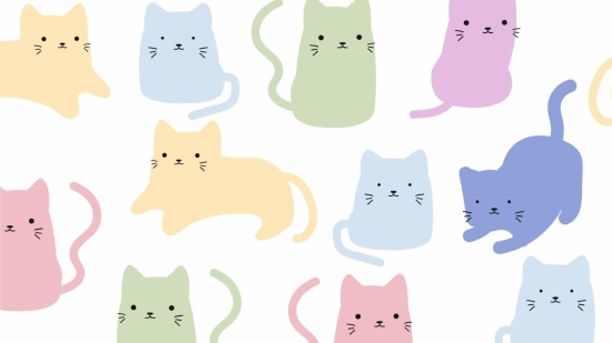 Answer Your Cat's Questions Presentation and Activity - Campaign