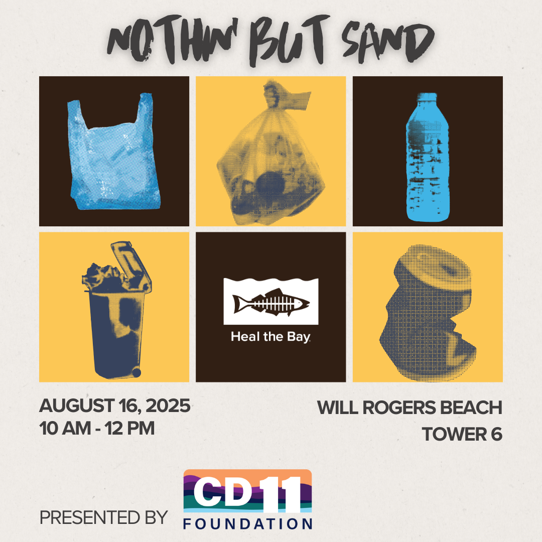 Nothin' But Sand - August 2025 - Campaign