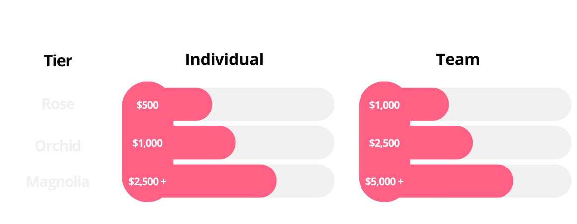 Pink Points Platform - Campaign
