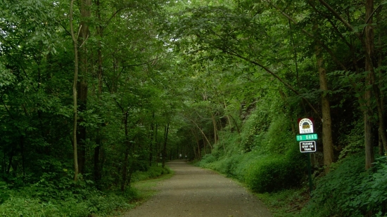 Explore the Audubon Loop Trail - Campaign