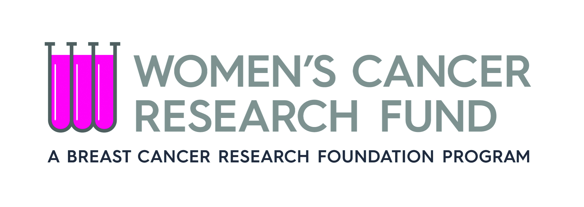 Breast Cancer Research Foundation | BCRF