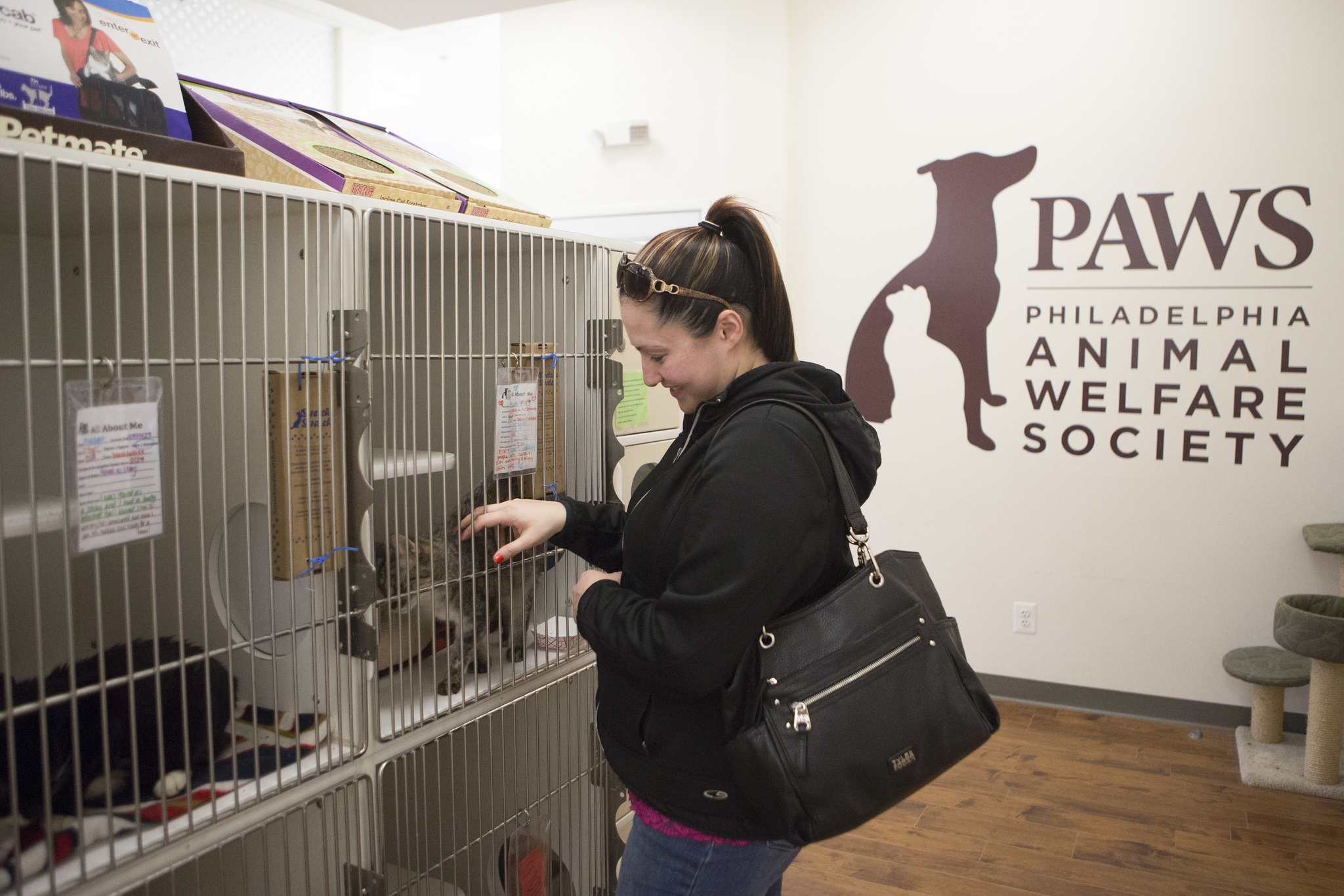 New Cat Housing for PAWS' Adoption Center - Campaign