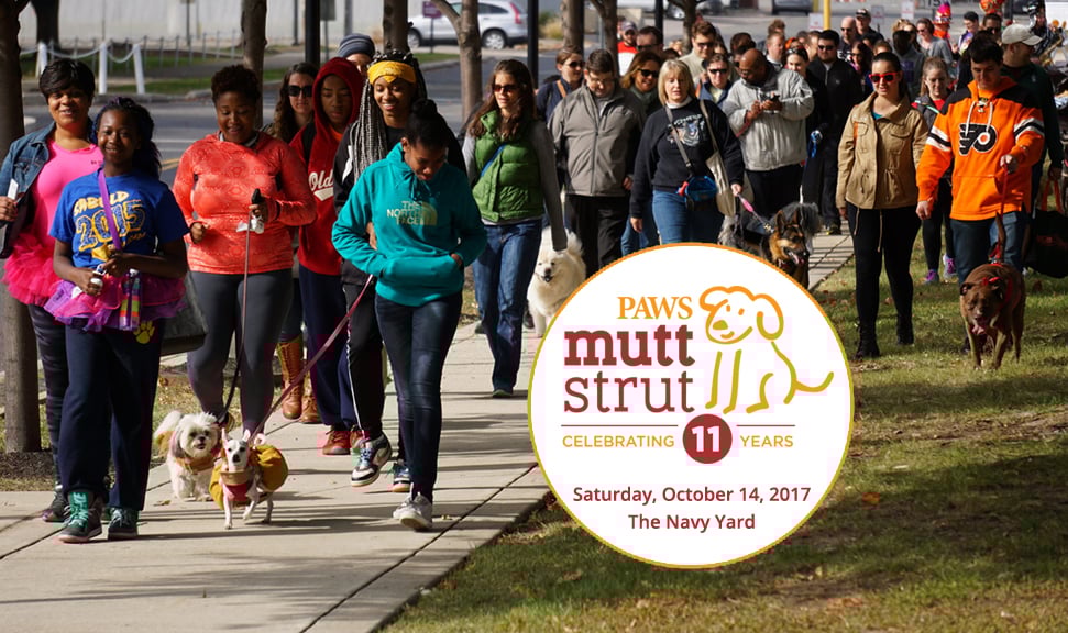 11th Annual PAWS Mutt Strut - Campaign