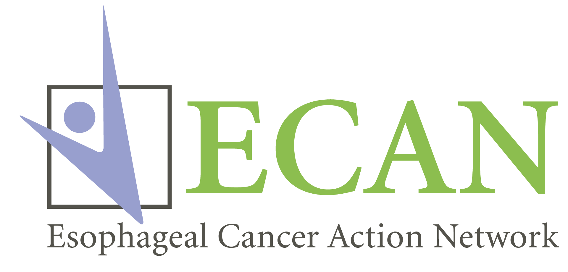 Stuart Weissman Esophageal Cancer Walk - Campaign
