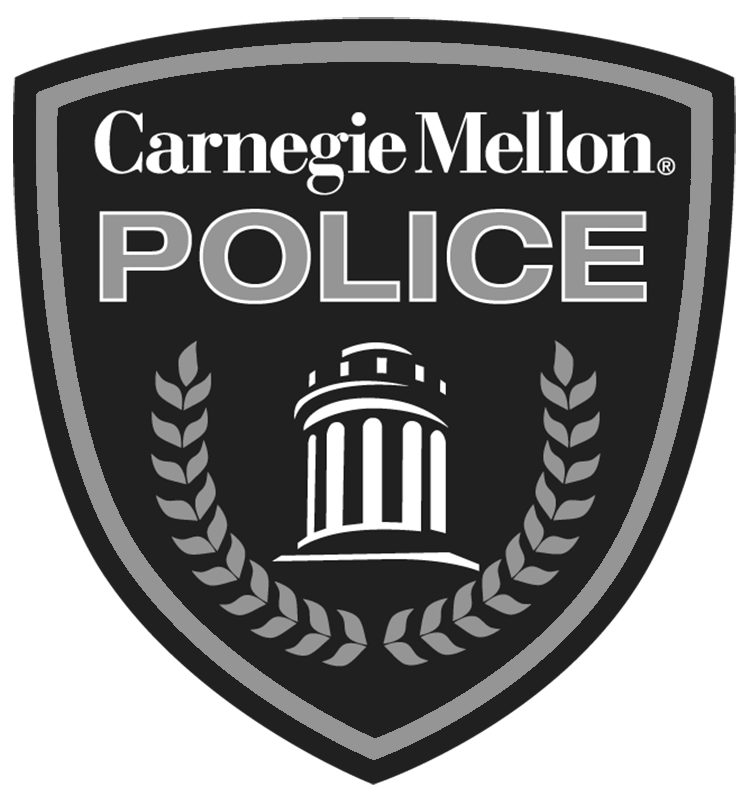 2025 Carnegie Mellon University Homecoming Mobile Plunge - Campaign