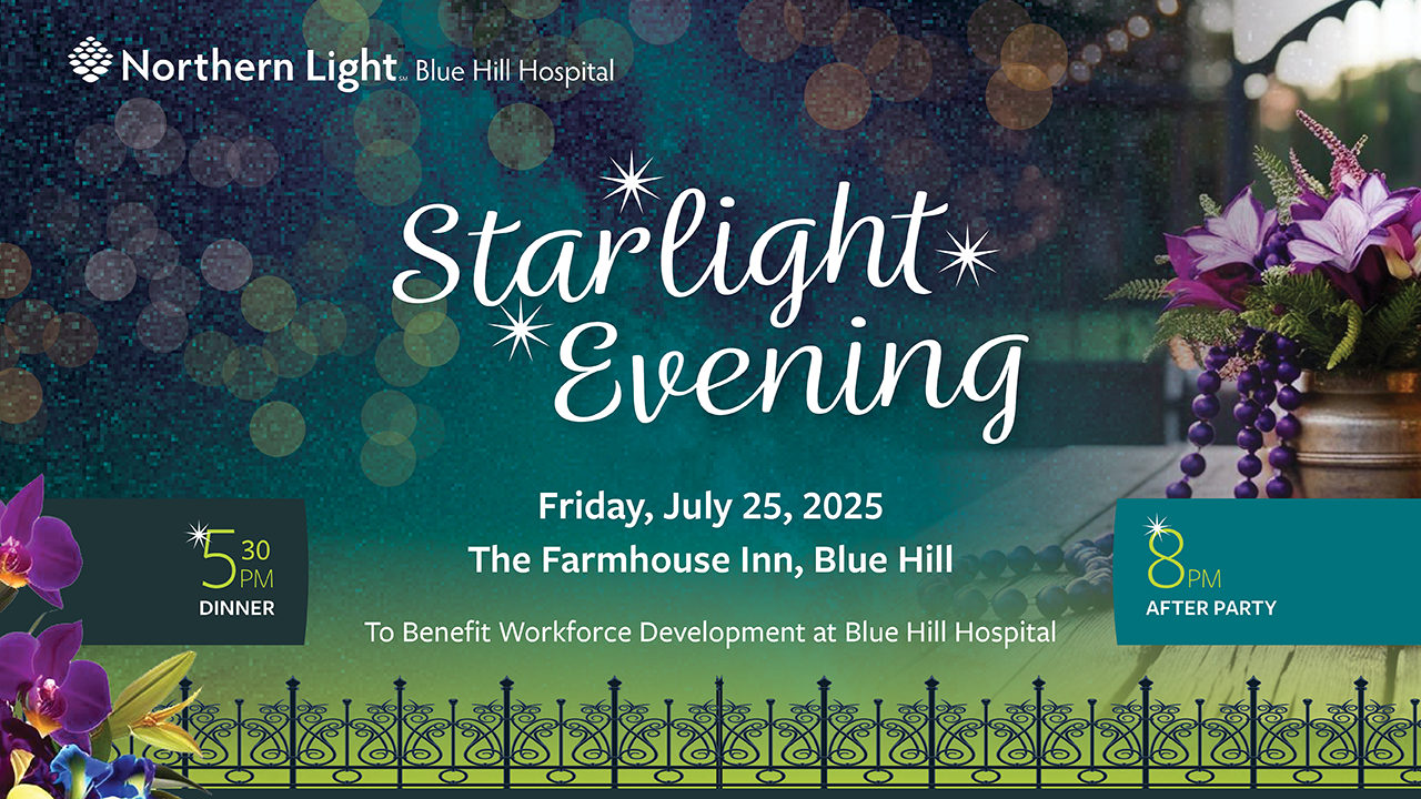 Starlight Evening 2025 - Campaign