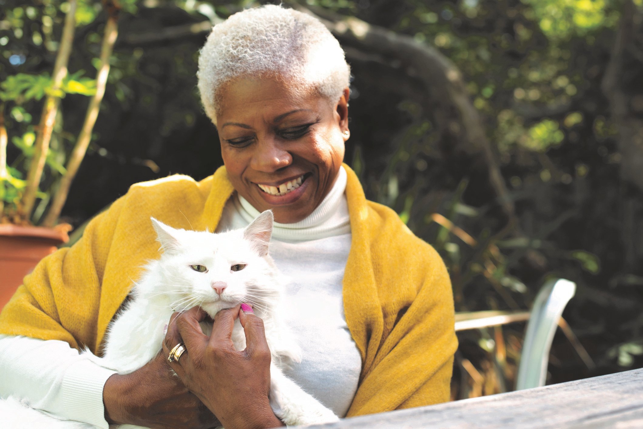 Donate to Gift of Membership - Cornell Feline Health Center