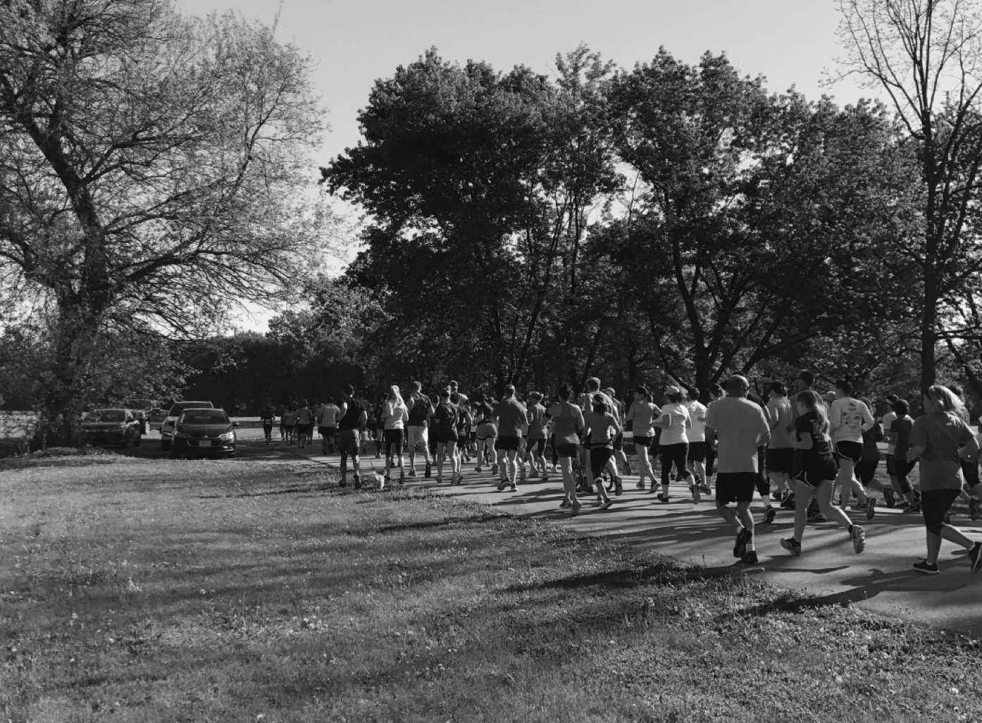 2021 Gray Nation Endurance - Campaign