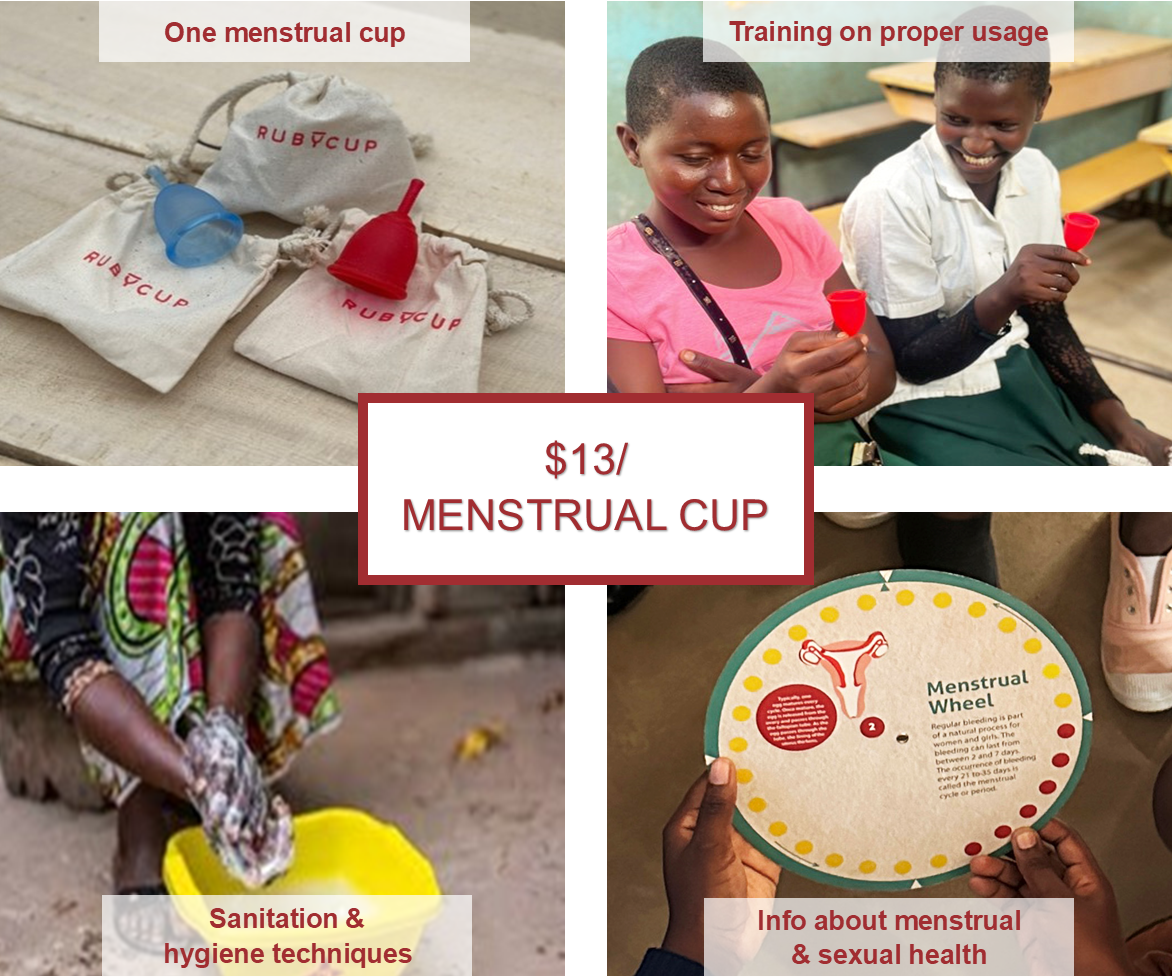 Menstrual Cup Project - Campaign