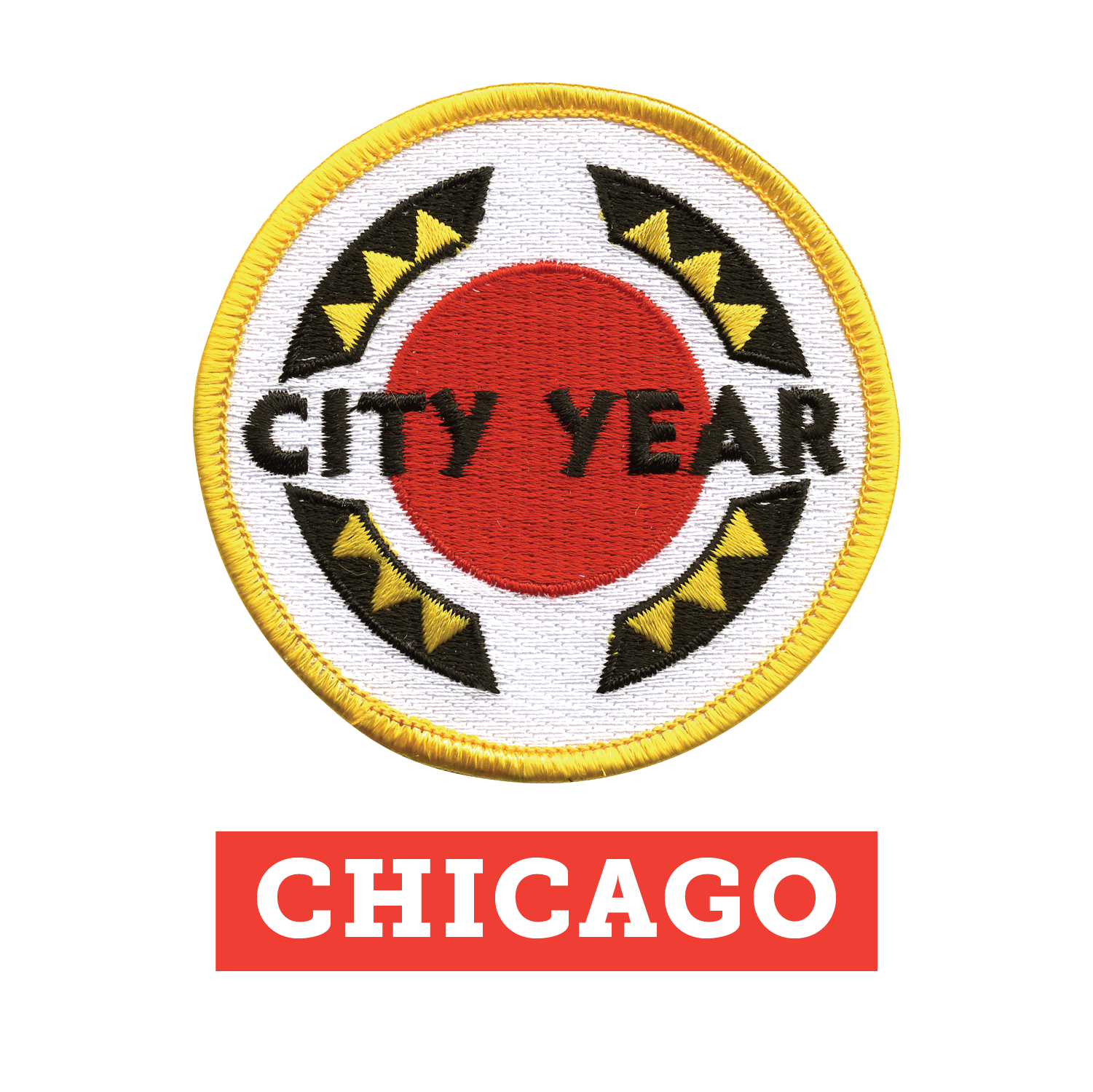 City Year Chicago's Ripples of Hope Gala - Campaign