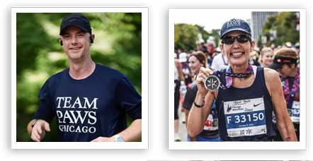 TEAM PAWS Chicago Tokyo Marathon 2026 - Campaign
