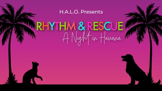 Rhythm&Rescue - Campaign