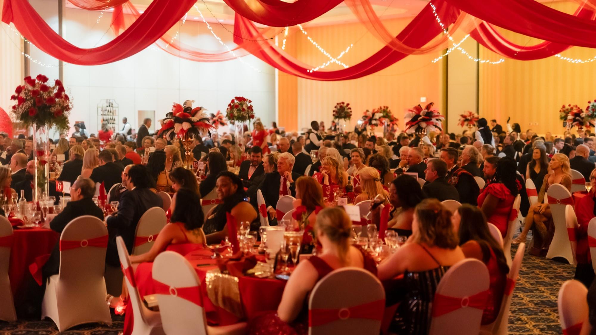 The Bay Gala - Campaign