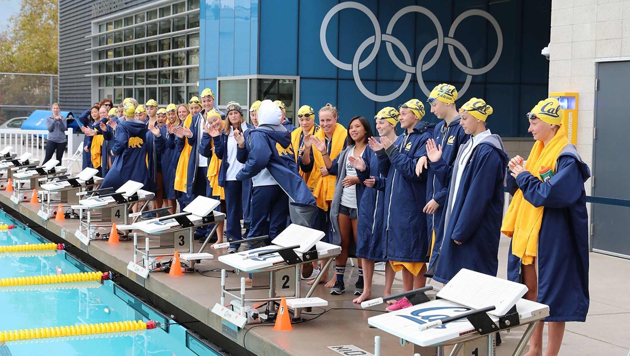 Cal Swimming & Diving - Campaign