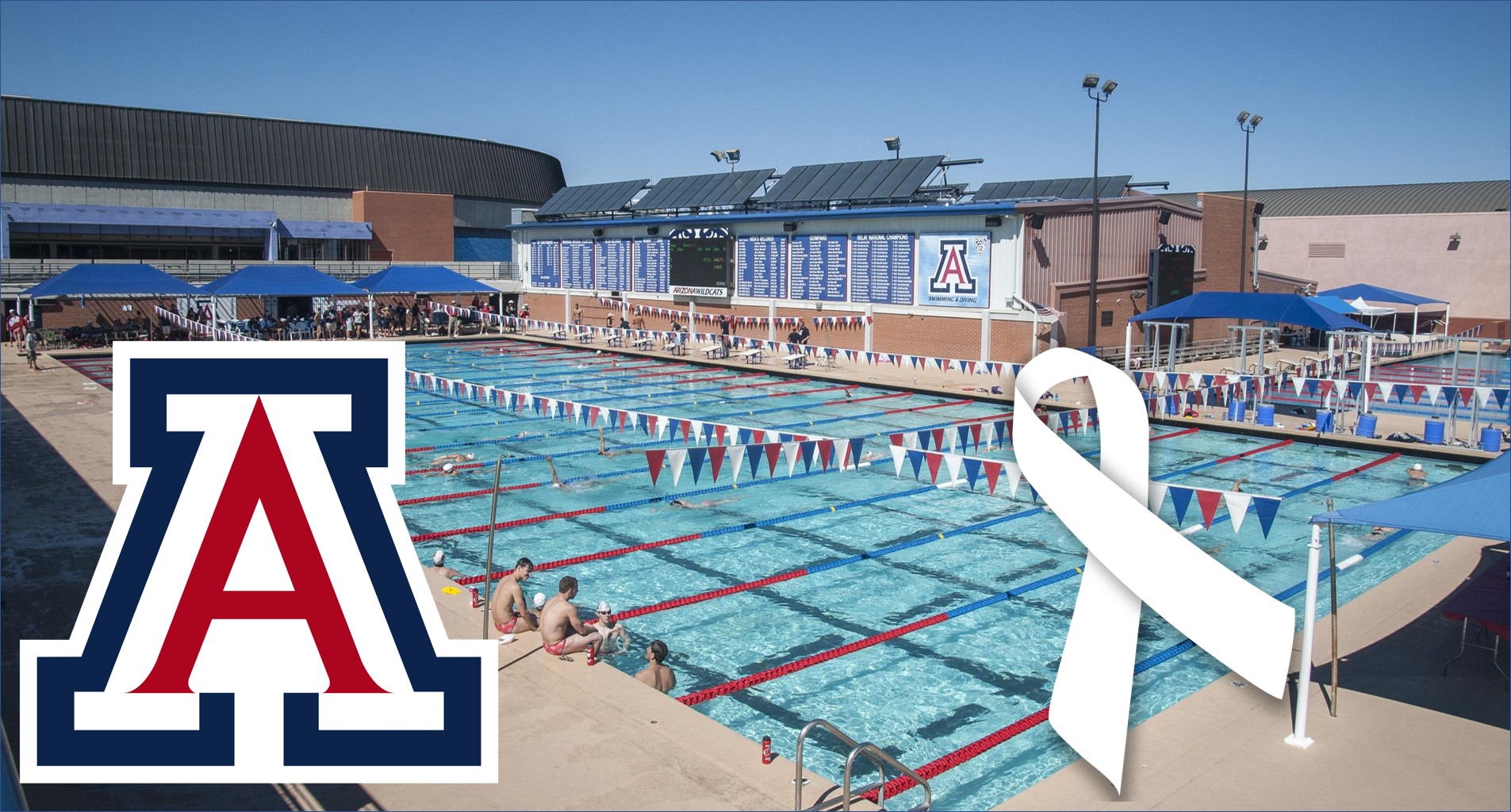 Arizona Swimming & Diving - Campaign