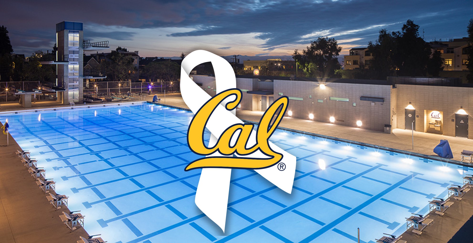Cal Swimming & Diving - Campaign