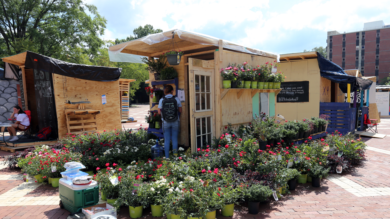 Shack-A-Thon 2024 - Campaign