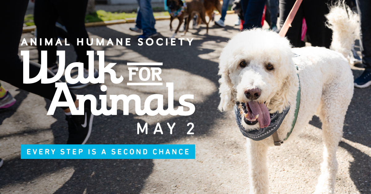 Donate to Walk for Animals