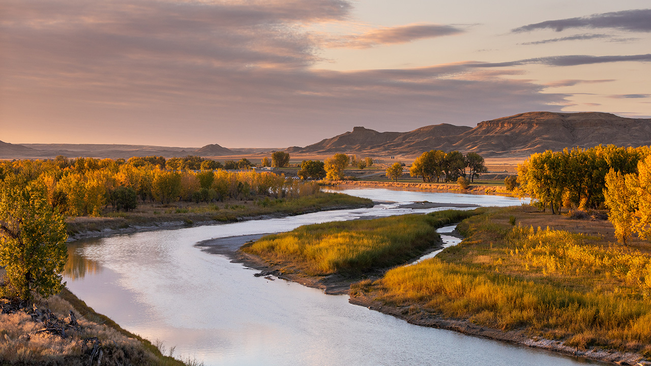 Donate to Protect the Prairie