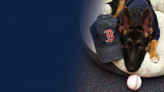 June Red Sox Raffle 2023 - Campaign