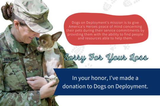Donate to Donate to Dogs on Deployment