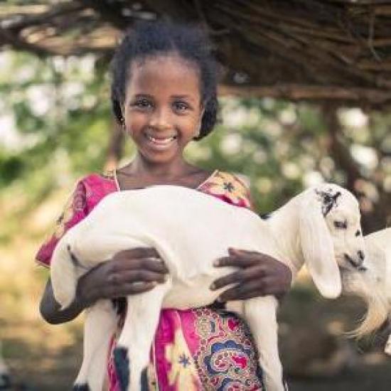 Carson Loveless's fundraising page for Samaritan's Purse