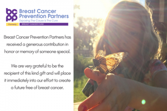 Donate to BCPP General Donation