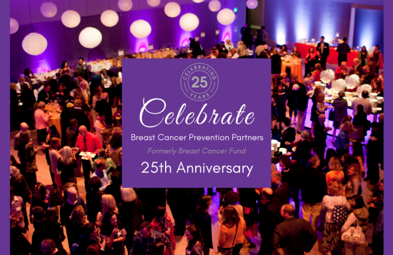 25th Anniversary Gala - Campaign