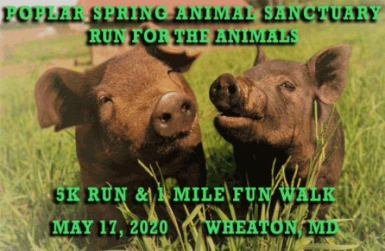 Donate to Poplar Spring Animal Sanctuary Run for the Animals