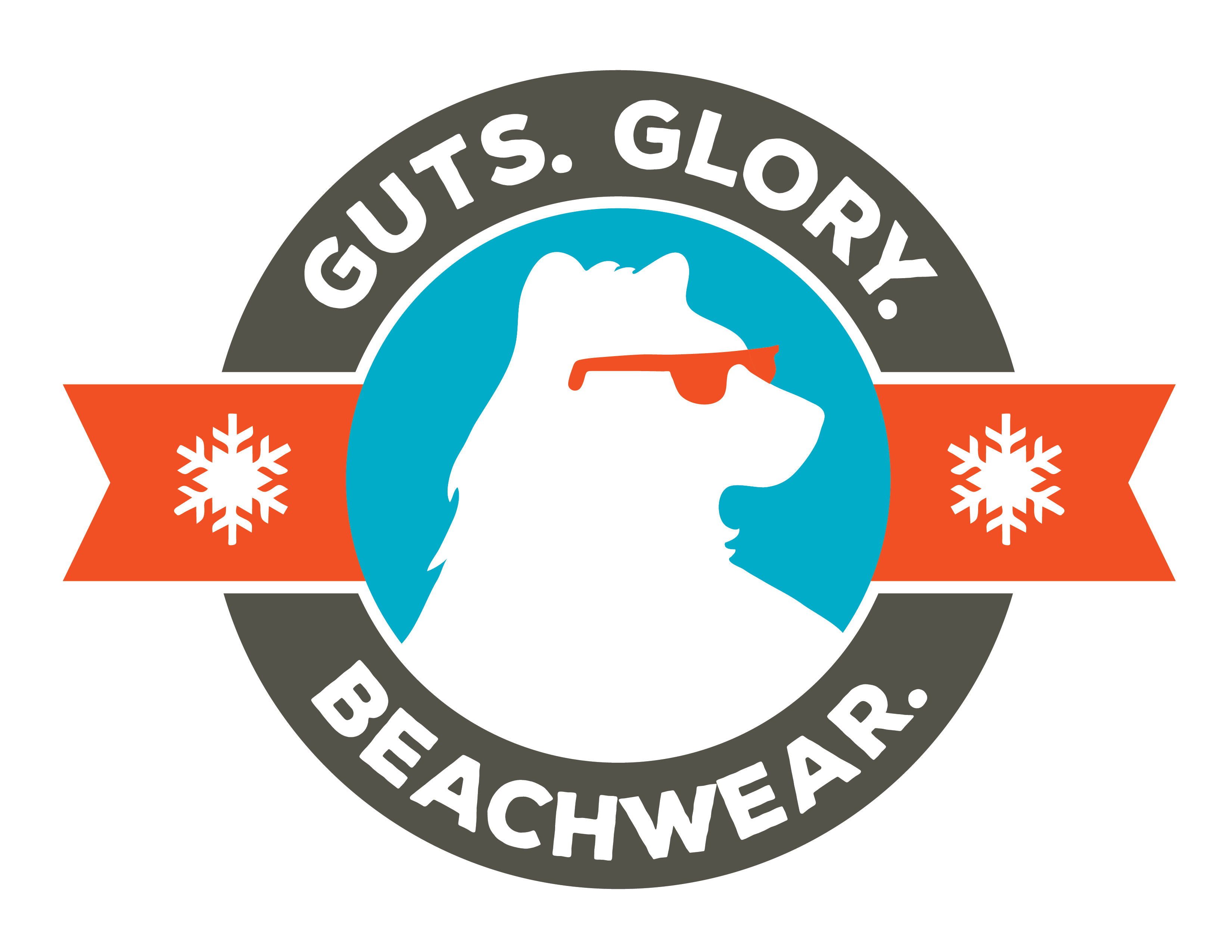 RVA Solar Plunge 2018 - Campaign