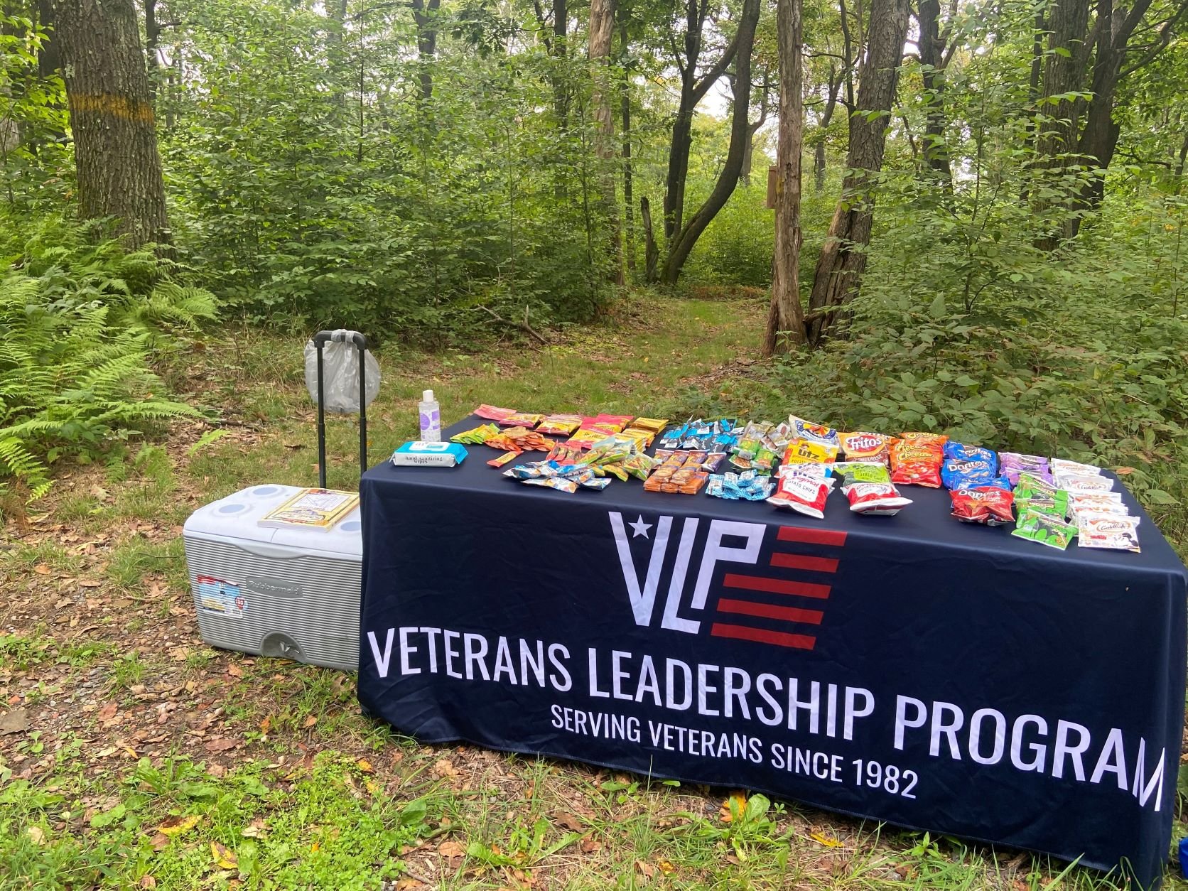 Check out Team Ski's team fundraising page for Veterans Leadership ...