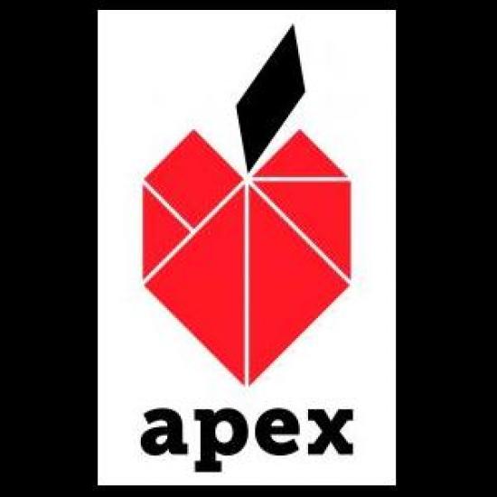 Peiwu Tsung's fundraising page for Apex for Youth