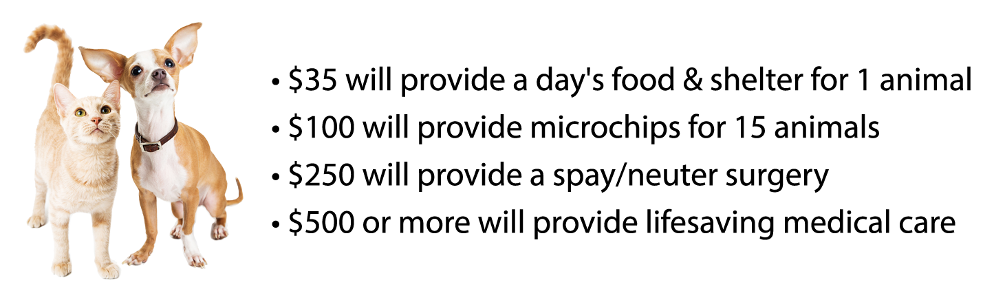 Donate to Donation Page Website