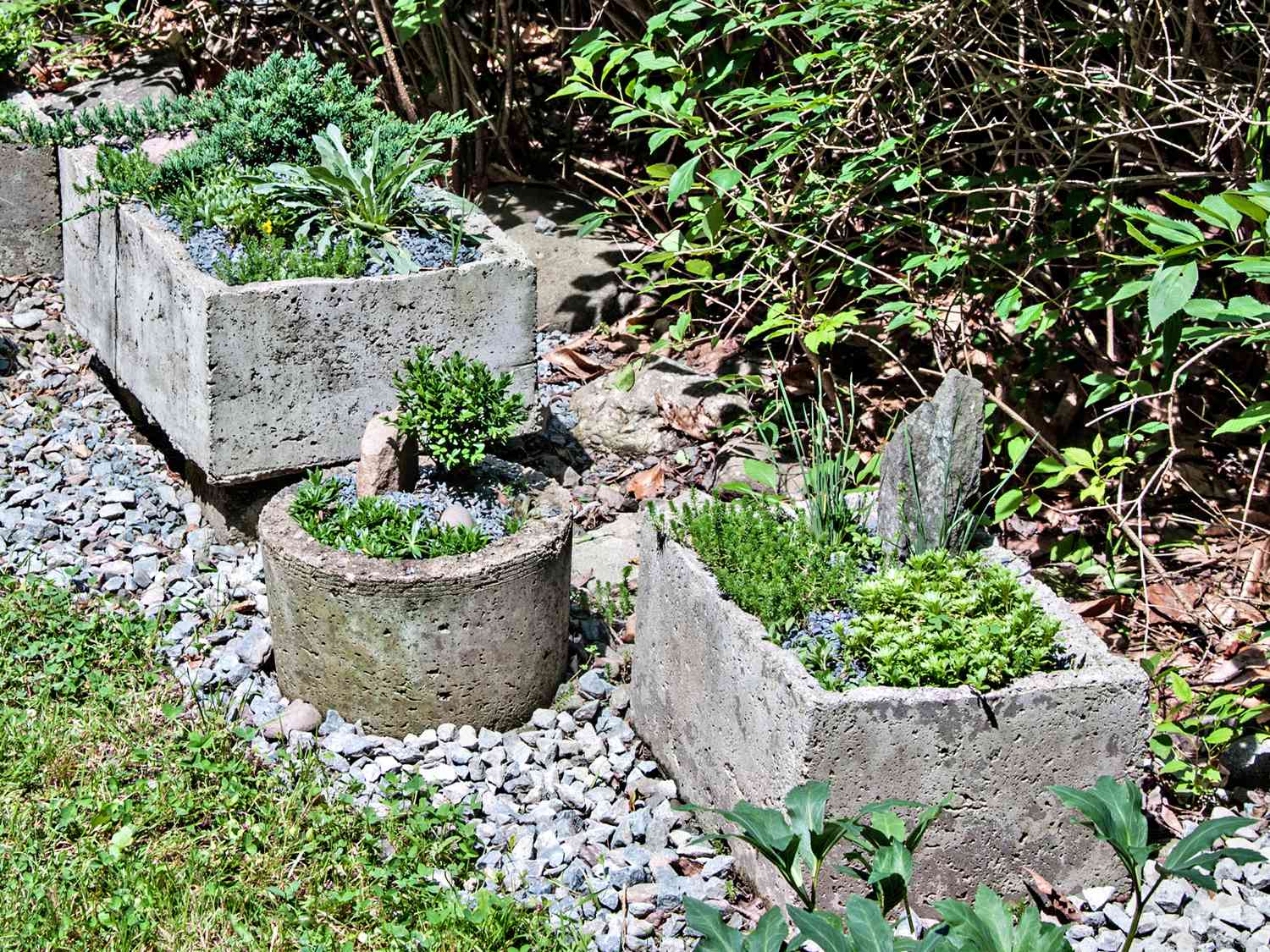 Hypertufa Planter Workshop - Campaign
