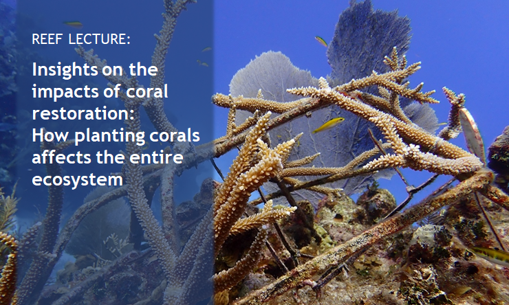 Reef Lecture: Insights on the impacts of coral restoration - Campaign