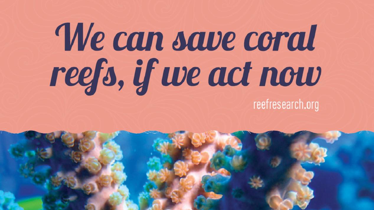 Healthy Reefs - Campaign