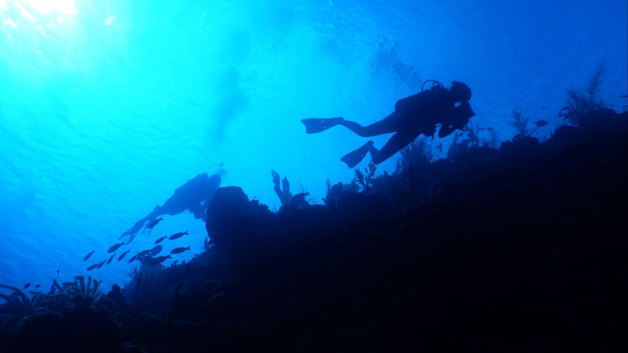 Celebrating 25 years of CCMI! - Campaign