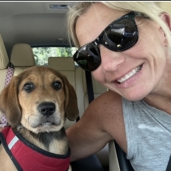 Daniela Schneider's fundraising page for Hallie Hill Animal Sanctuary