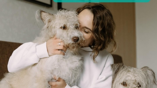 PAWS NY Foster Care Program / Substance Use Recovery Program - Campaign