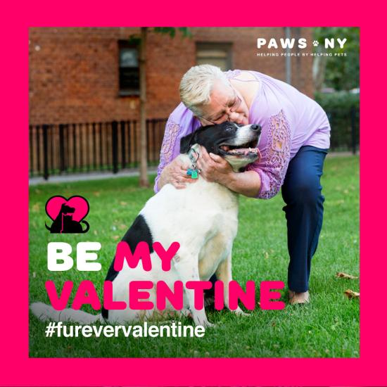 Donate to PAWS NY's #FureverValentine Campaign!