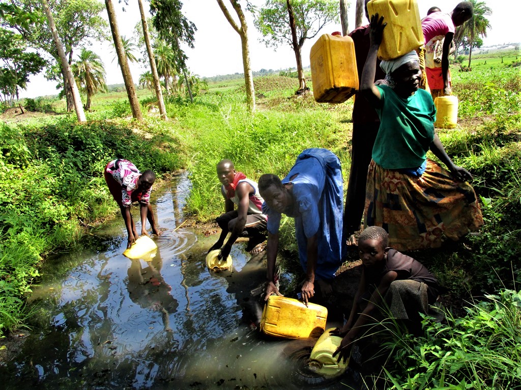 2020 Walk 4 Water Norterra, AZ - Presented by Elevate Coffee Company ...