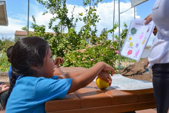 Save Our Center Street Community Garden - Campaign