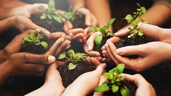 Donations - Campaign