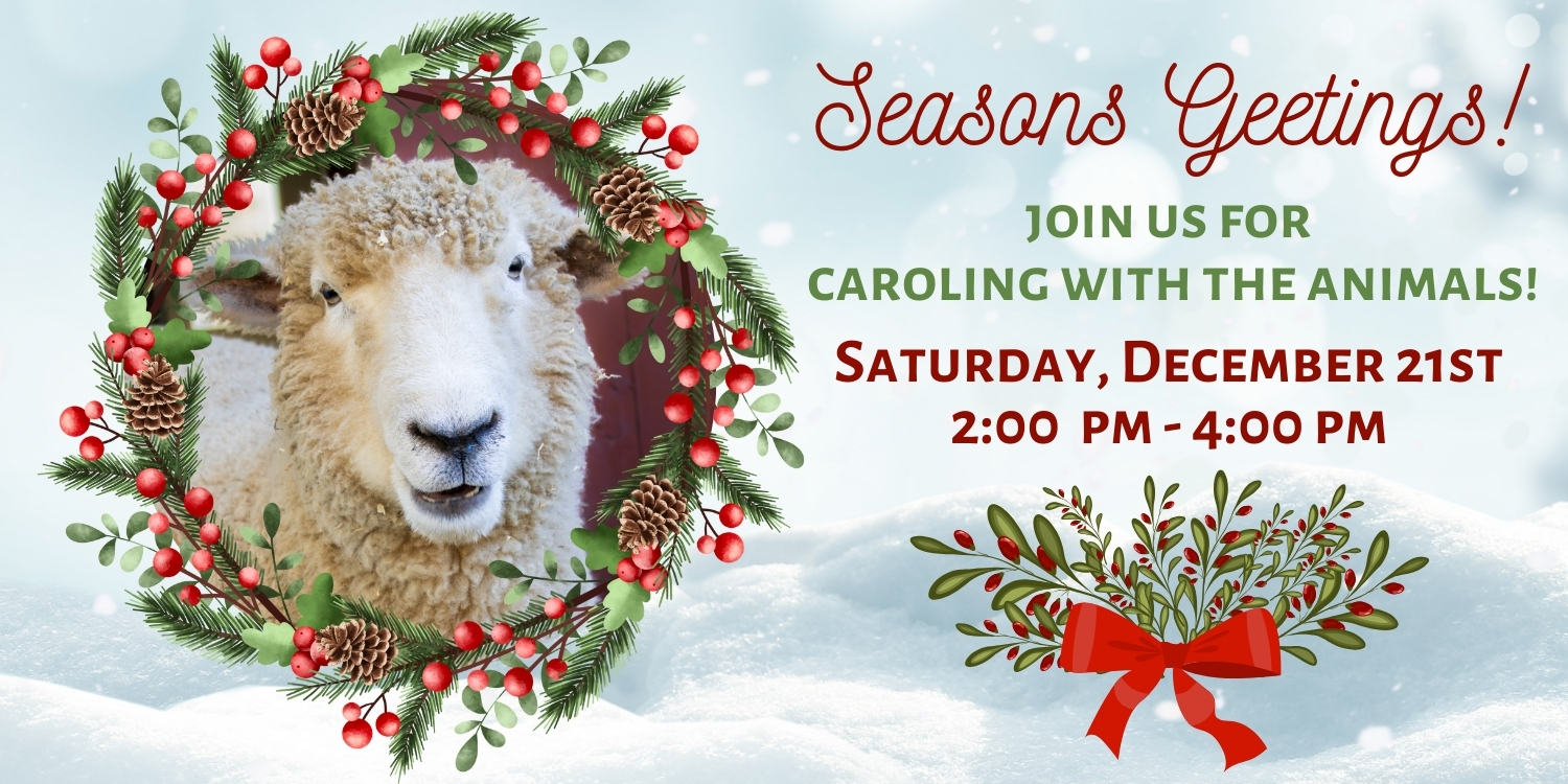 Caroling with the Animals - Campaign