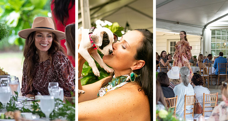 2022 Cause for Paws - Campaign