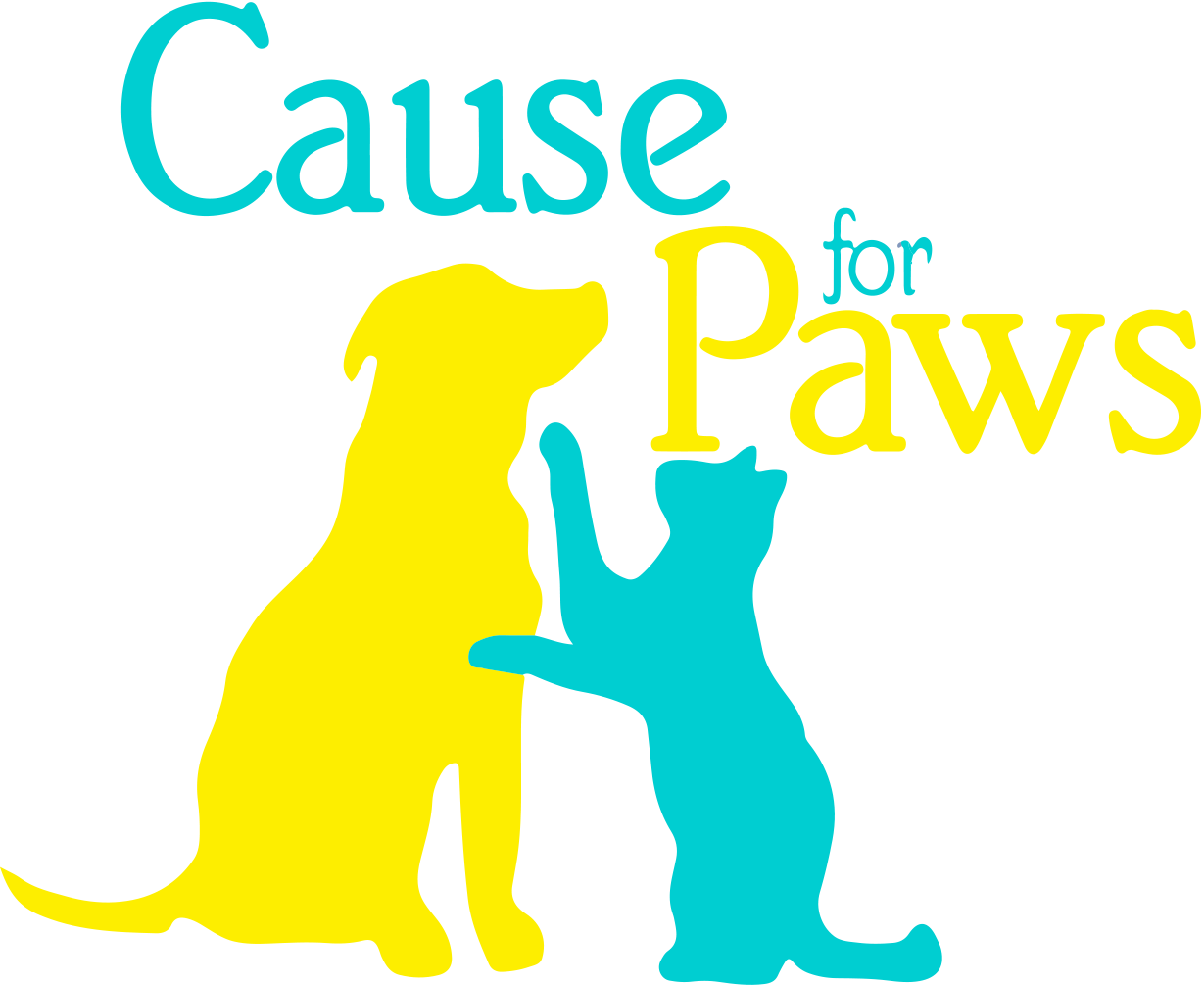 Donate to 2019 Cause for Paws