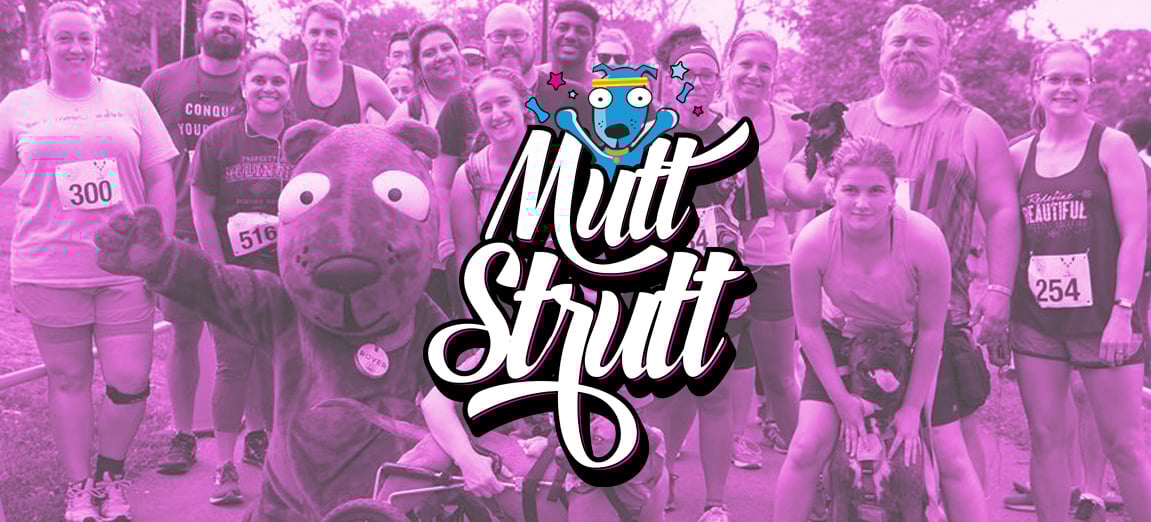 2020 Mutt Strutt - Campaign