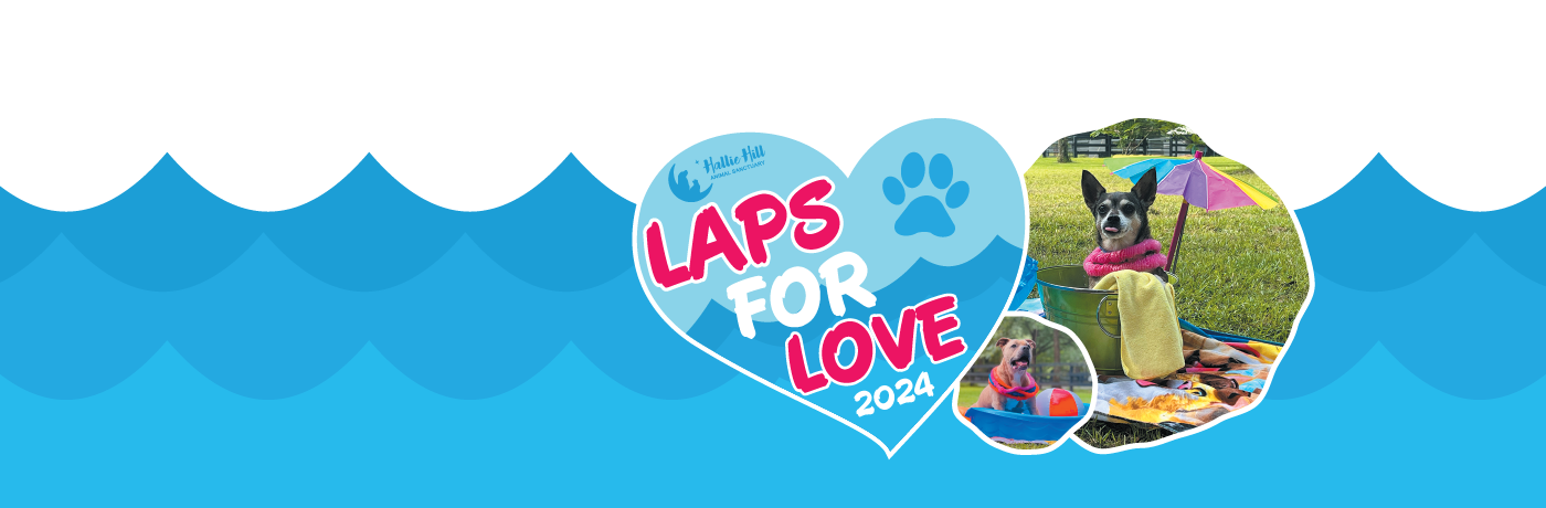 Georgia McKnight's fundraising page for Hallie Hill Animal Sanctuary