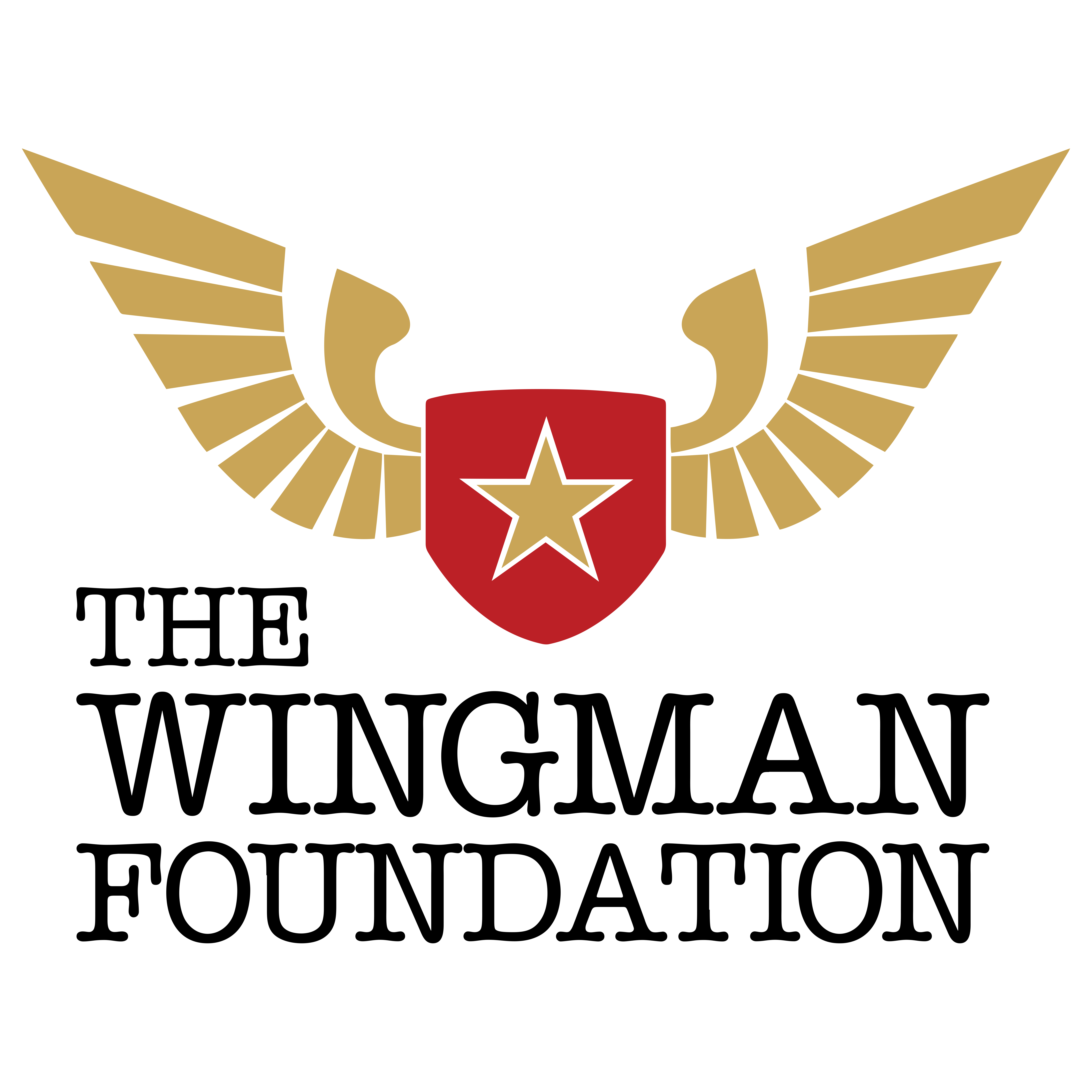 TWF Memorial Walk 2023 - Campaign