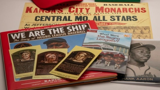 School Resource Kits - Campaign